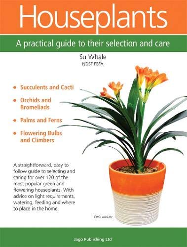 Houseplants: A Practical Guide to Their Selection and Care – Chalkys.com
